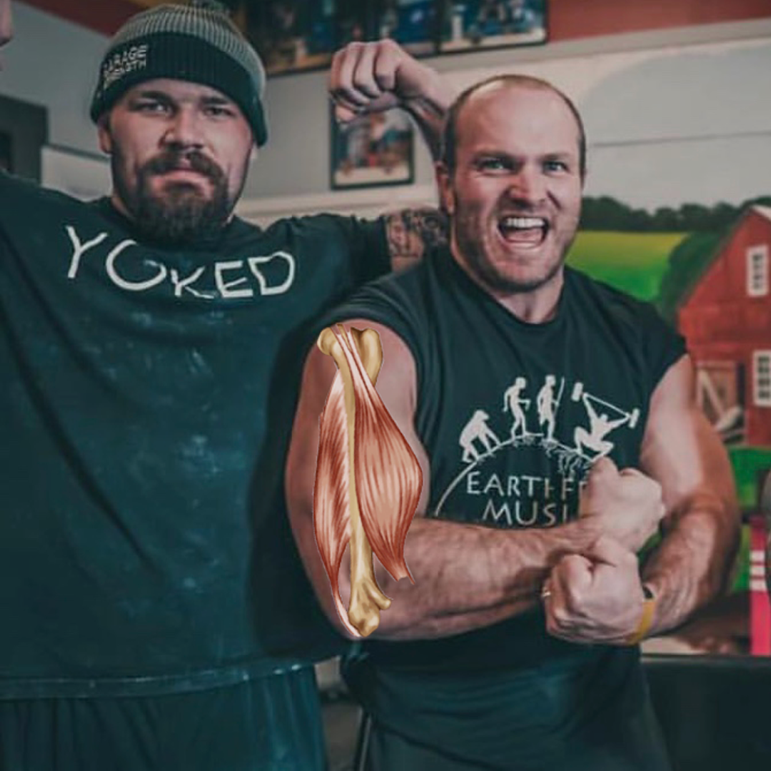 Homers for Gains – Garage Strength