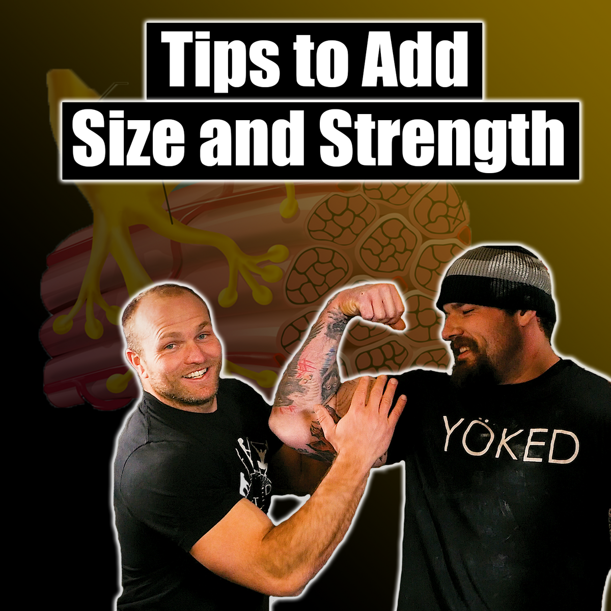 What are High Threshold Motor Units? – Garage Strength