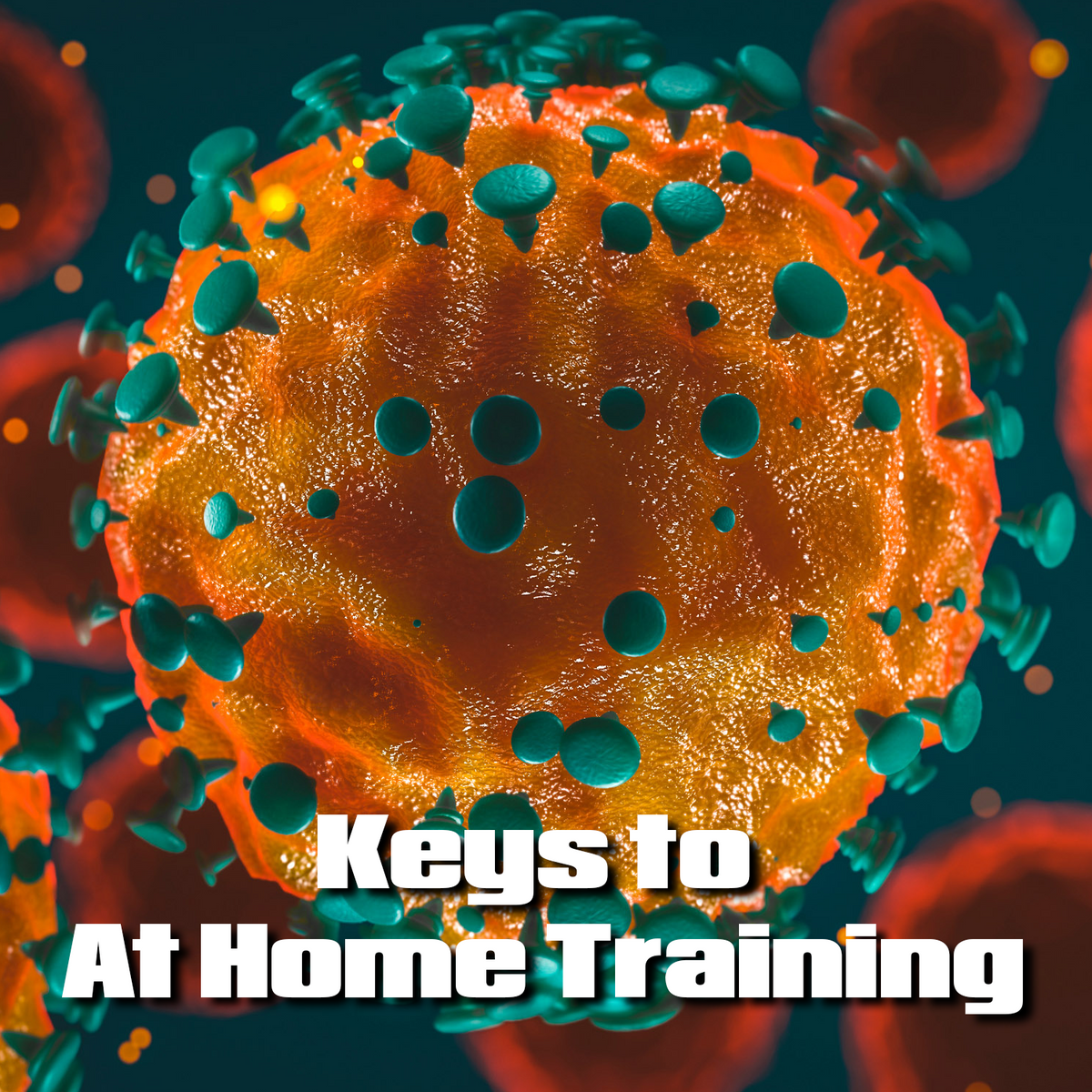 In-Home Training: Keys to Success – Garage Strength