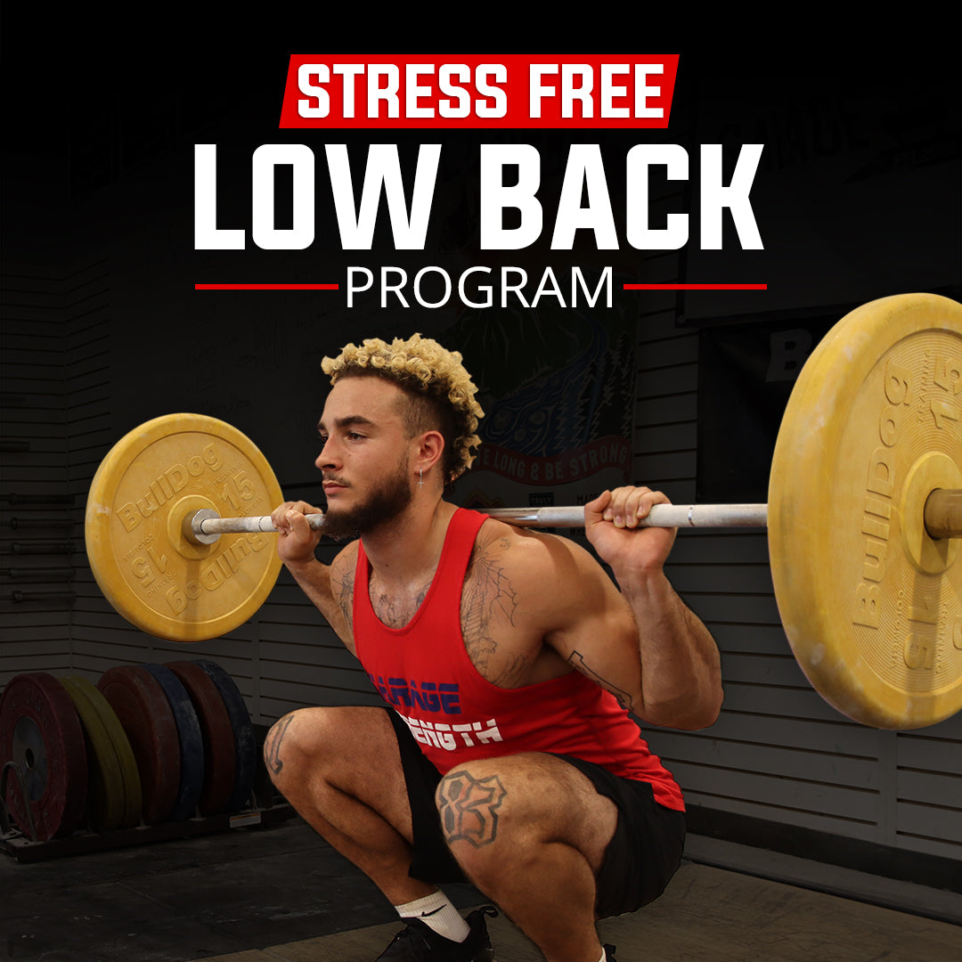 Stress Free Low Back Program – Garage Strength